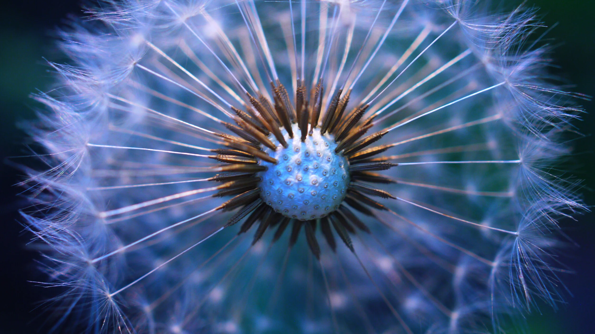 Heather Islander LMP, CST, MIT - Craniosacral therapy and instruction