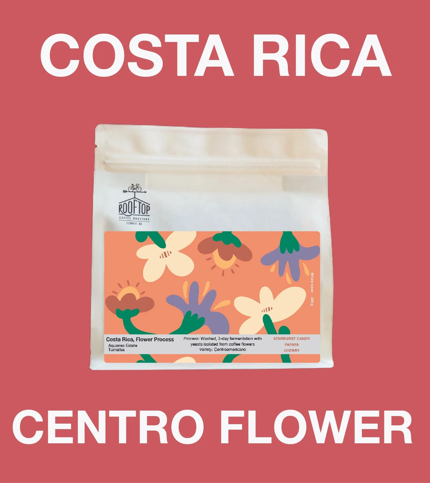 Rooftop Coffee Roasters