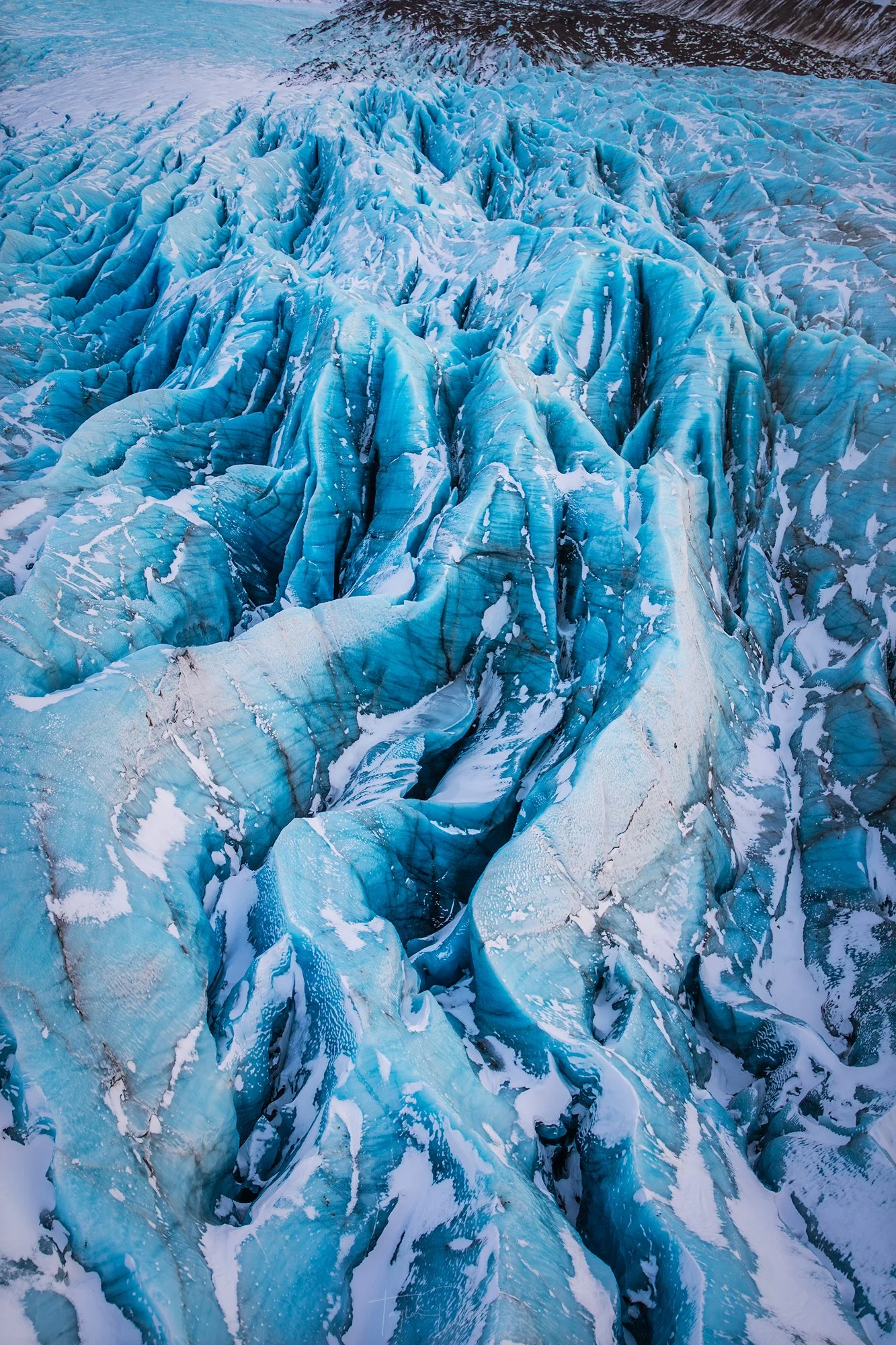 New Releases — Taylor Duncan Photography