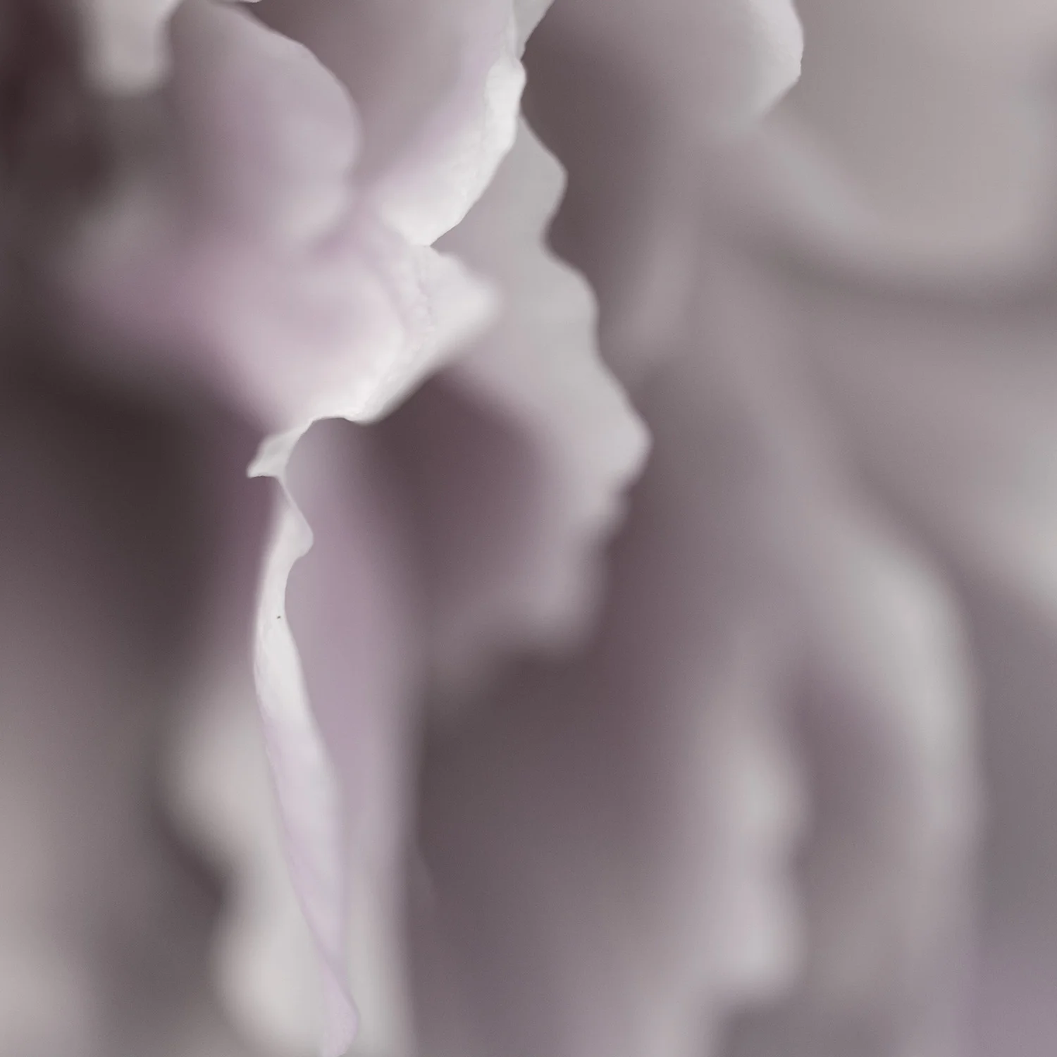 Simon Dodsworth art & photo