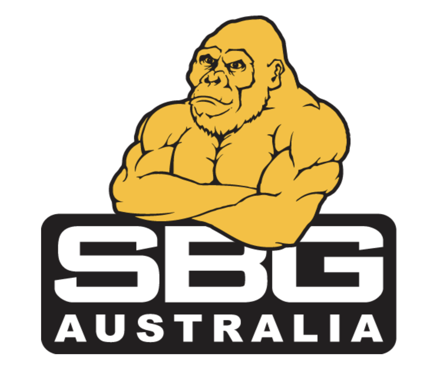 Mixed Martial Arts (MMA) Facility Sydney | SBG Australia
