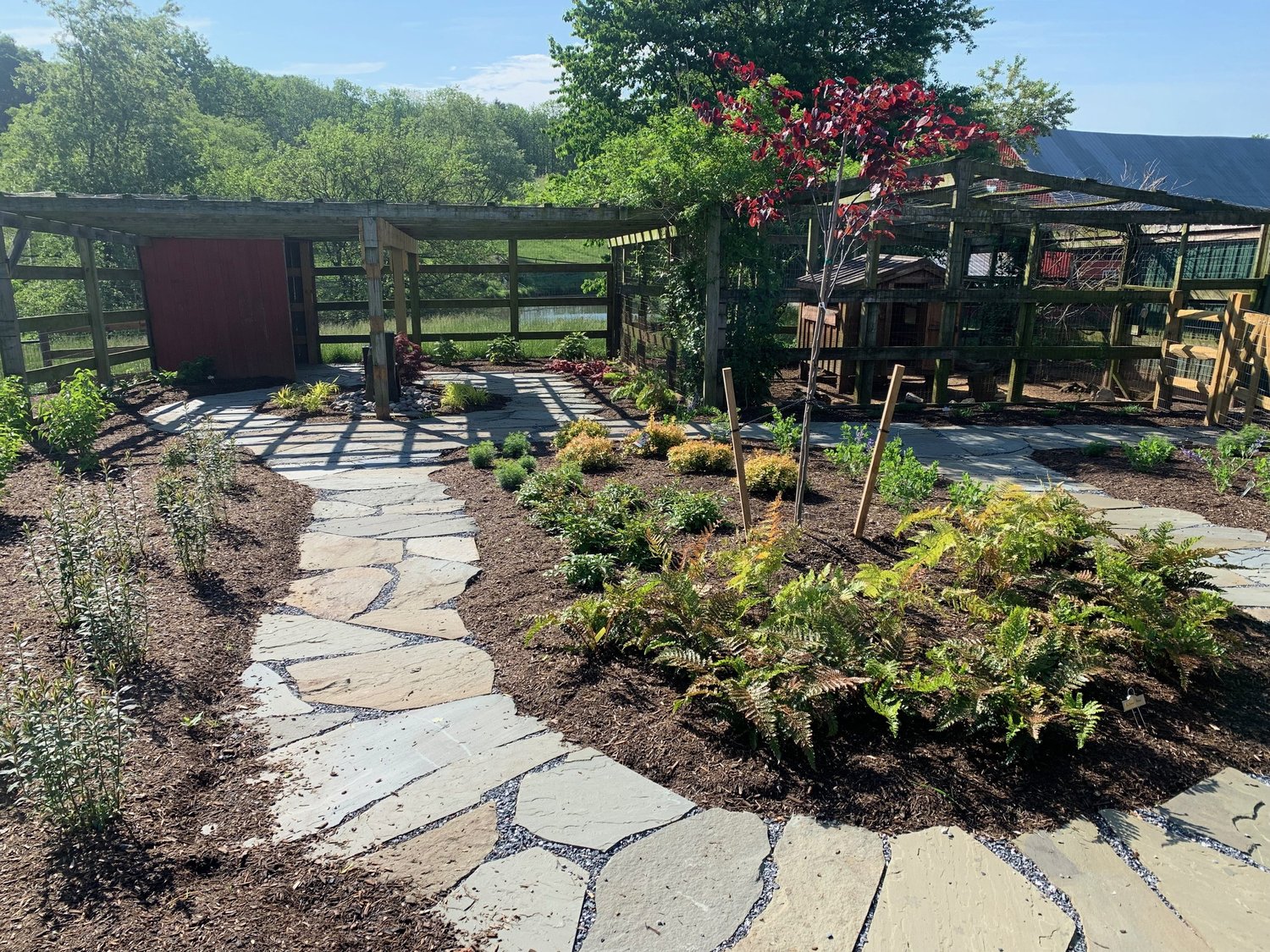 Pollinator Garden — Withers Wool and Farm