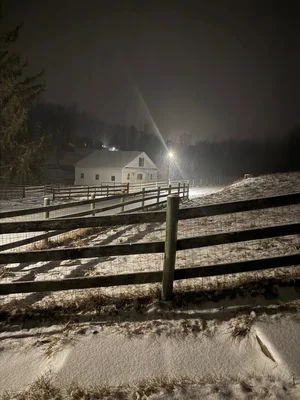 January 2026 Happenings at Withers Wool and Farm — Withers Wool and Farm