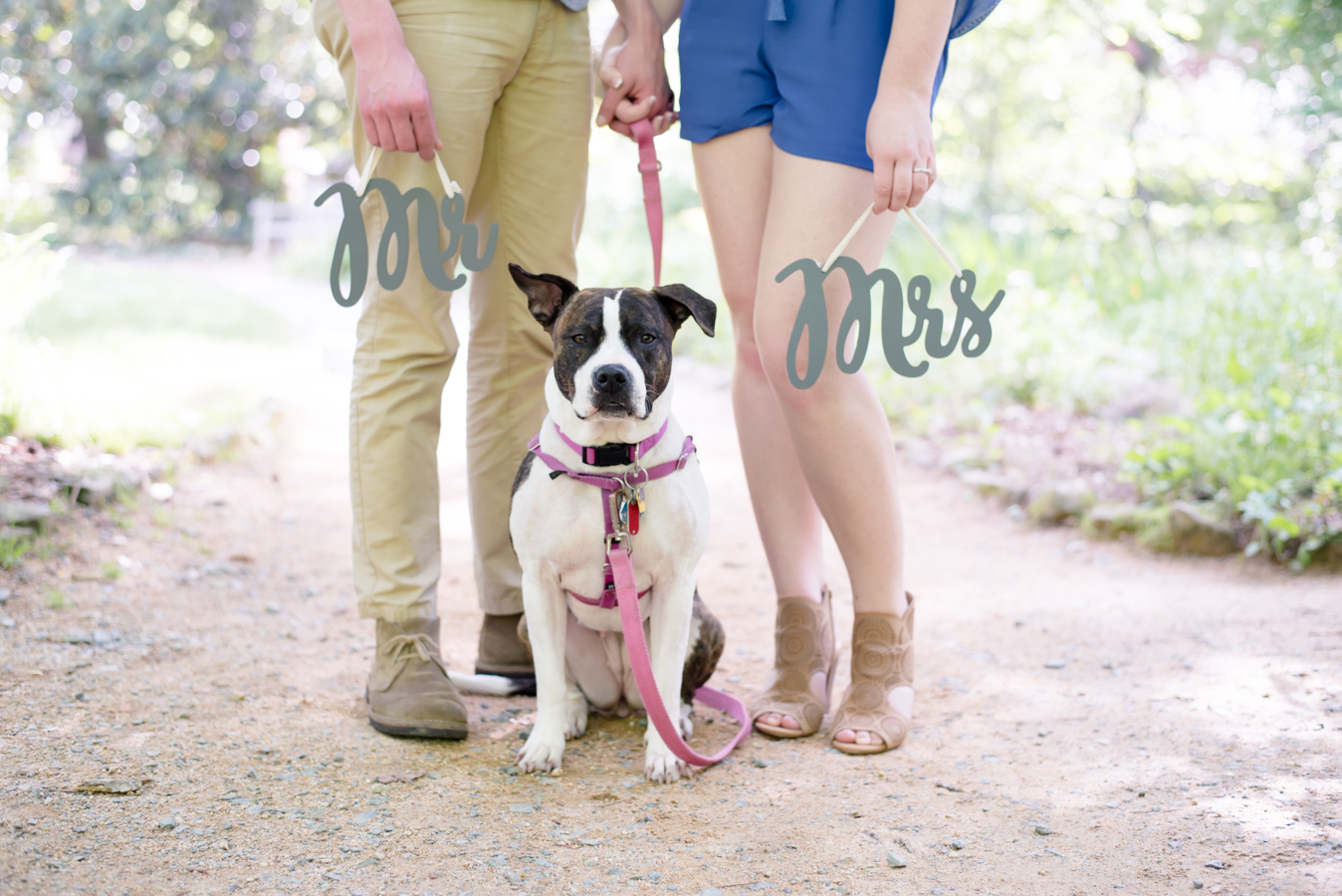 Curious Notions Photography - Based in NC and TX