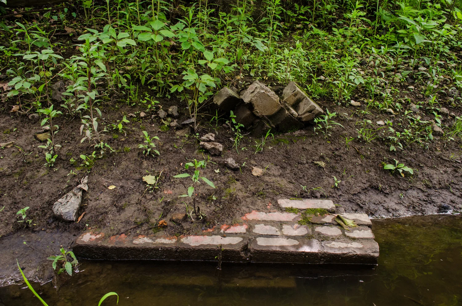 Mahoning River Archaeology — The Rust Jungle