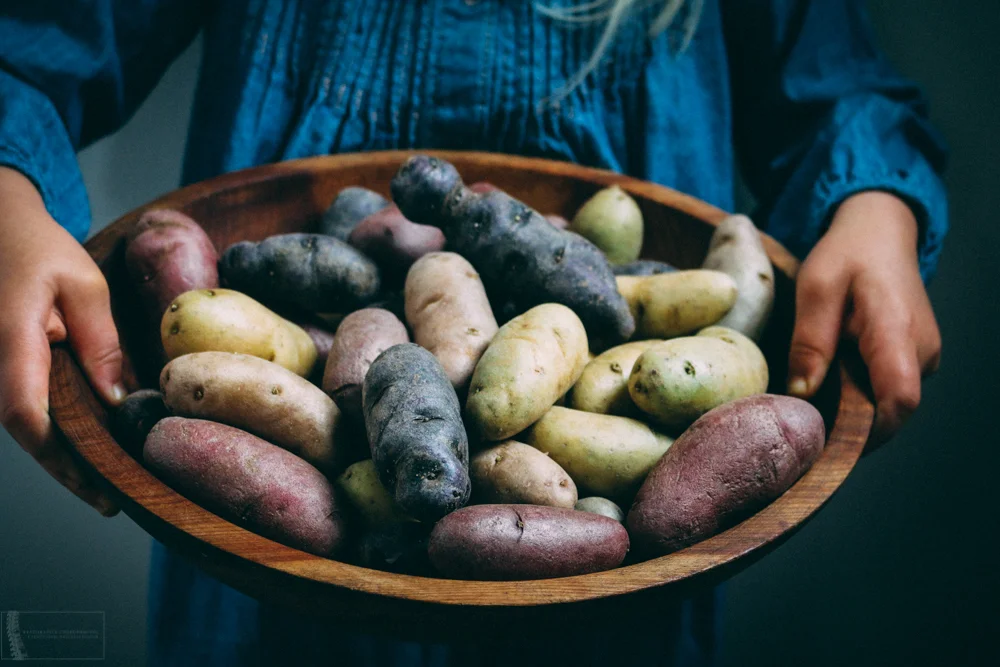 Restorative Wellness Center - Blog - Functional Medicine | Chiropractic ...