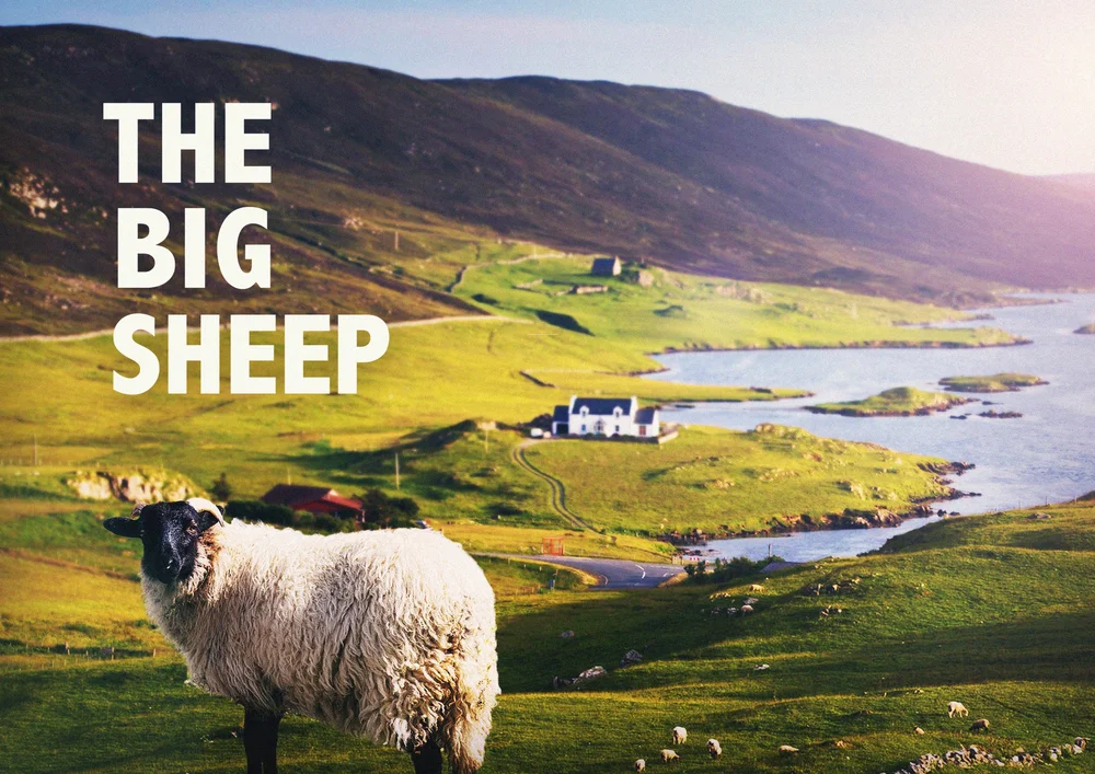 The Big Sheep — Braintrust