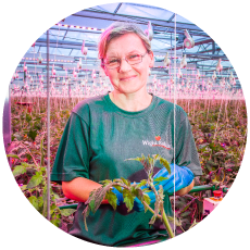 About — APS Salads