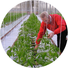 About — APS Salads