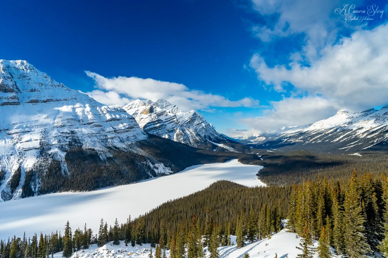 Frozen Peyto — A Camera Story
