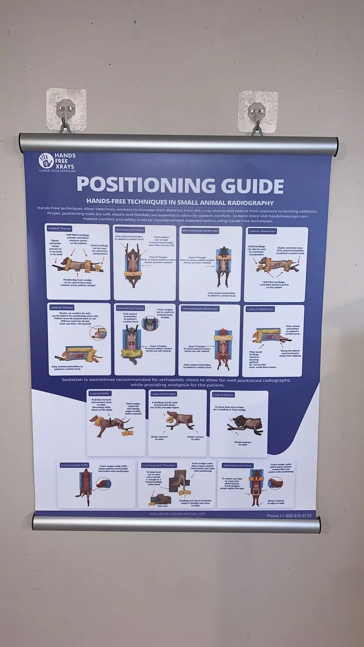 Radiology Positioning