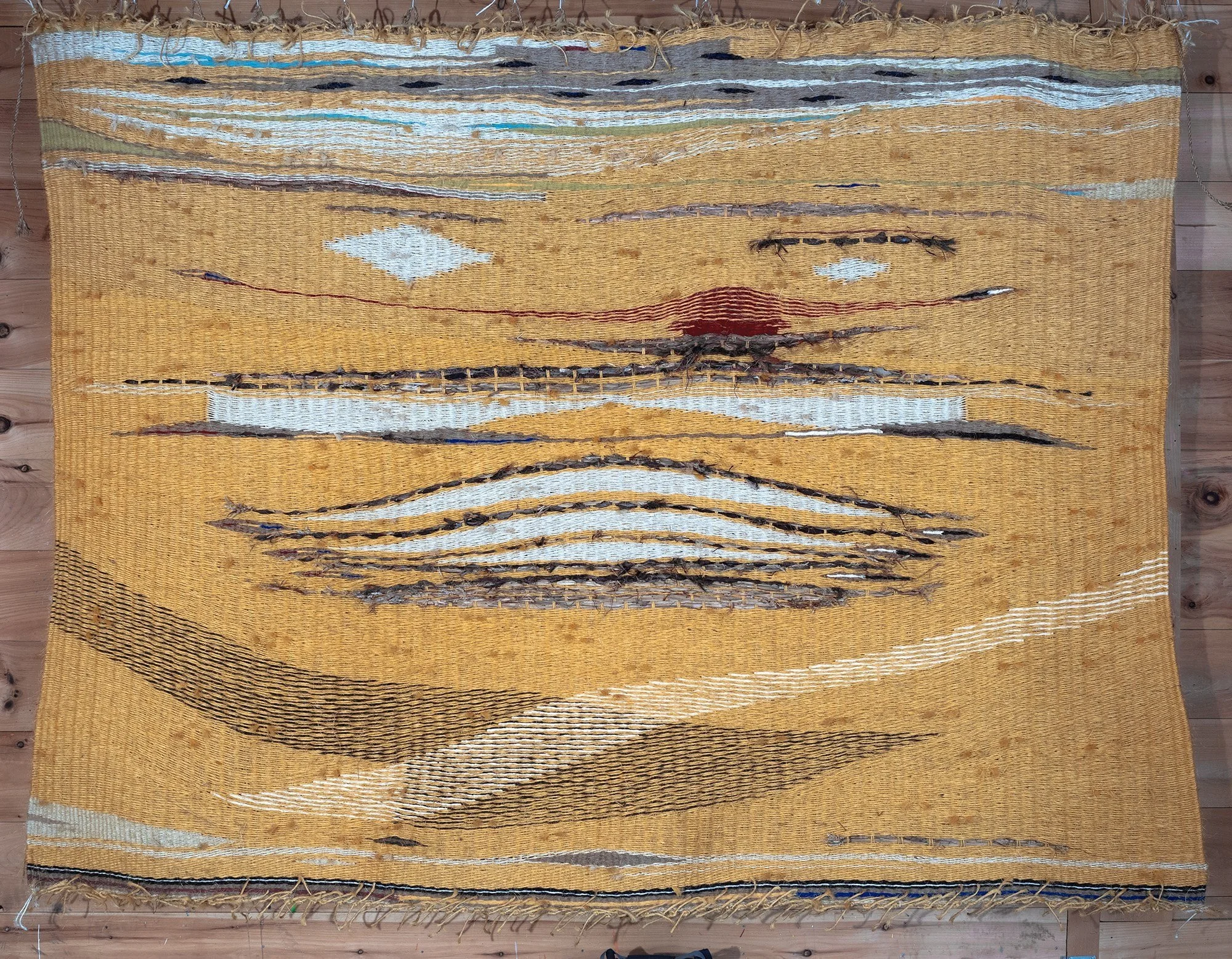 RUDY VAVRA — CODEX PROJECT