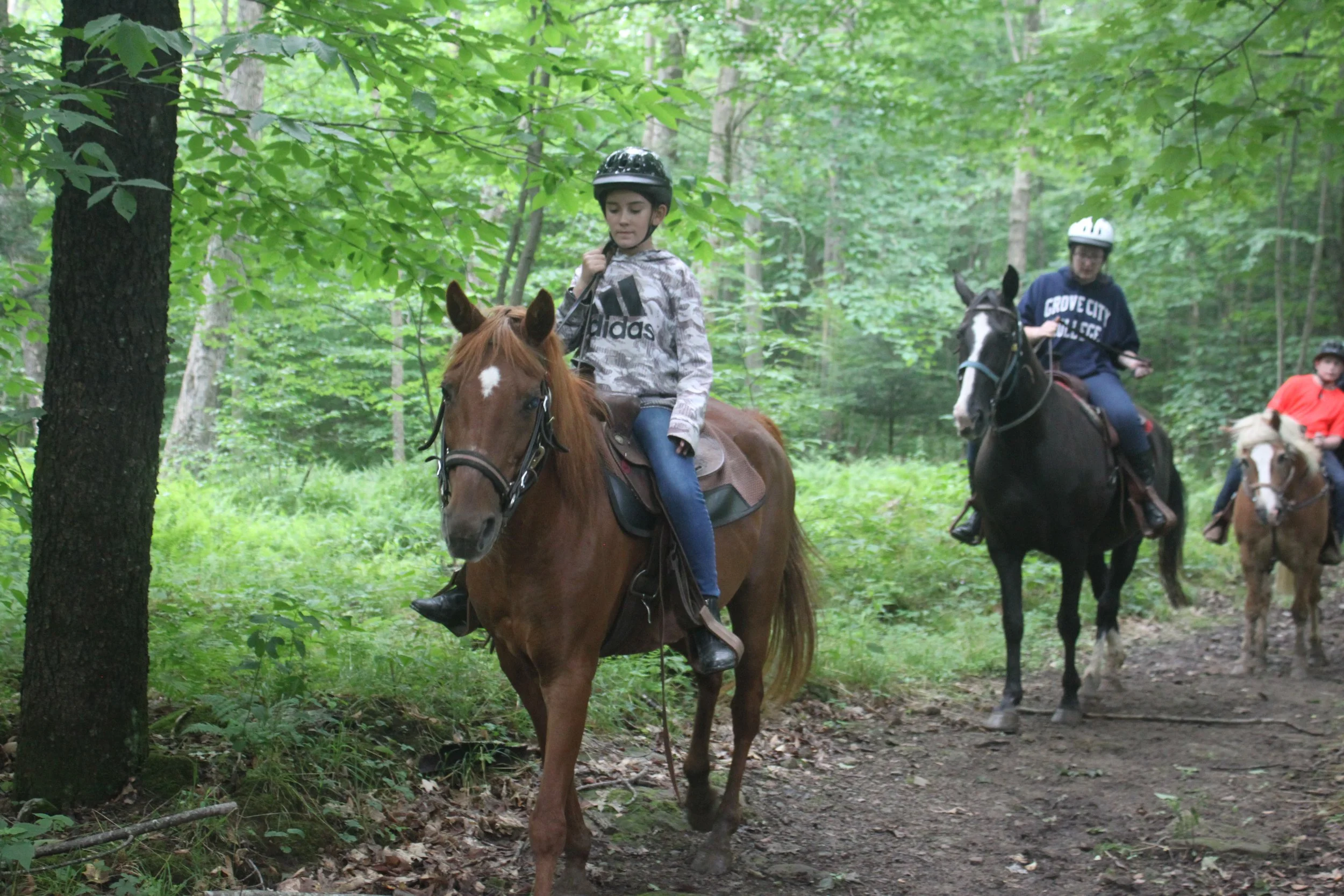 Camp Allegheny - Year-Round Retreat Center, Summer Camps
