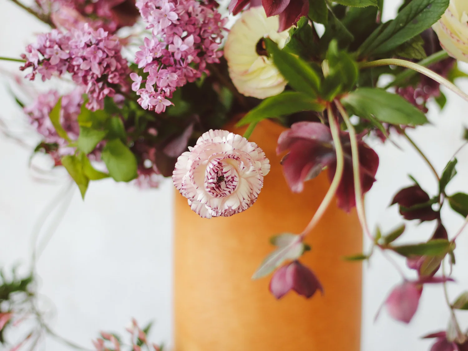 Spring Floral Encyclopedia — Moon Canyon Design