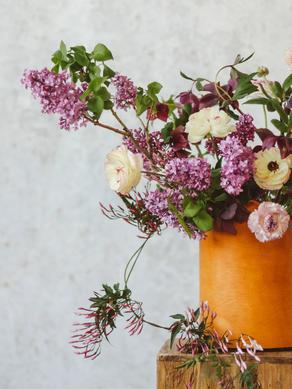 Spring Floral Encyclopedia — Moon Canyon Design