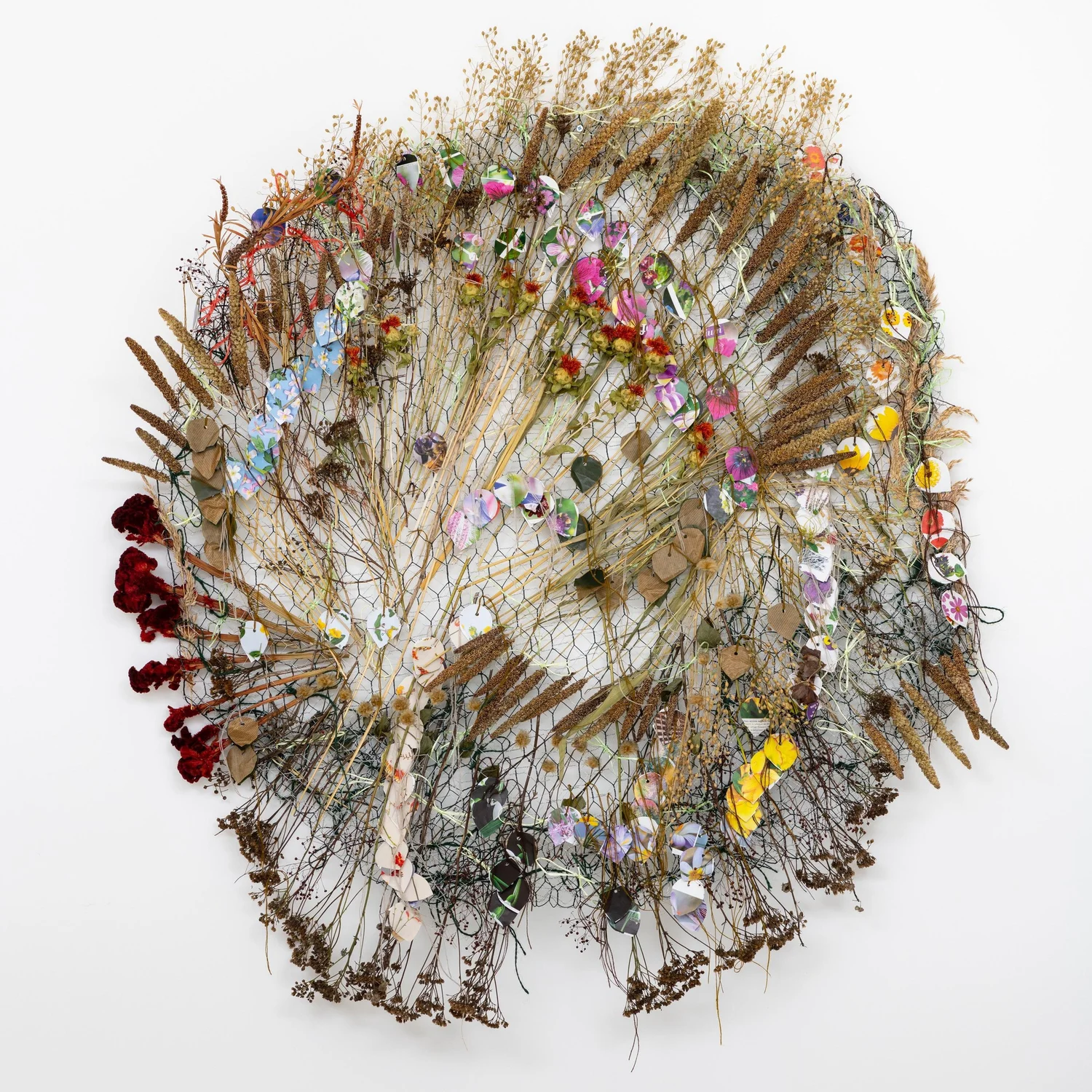 Alice McCabe Floral Artist
