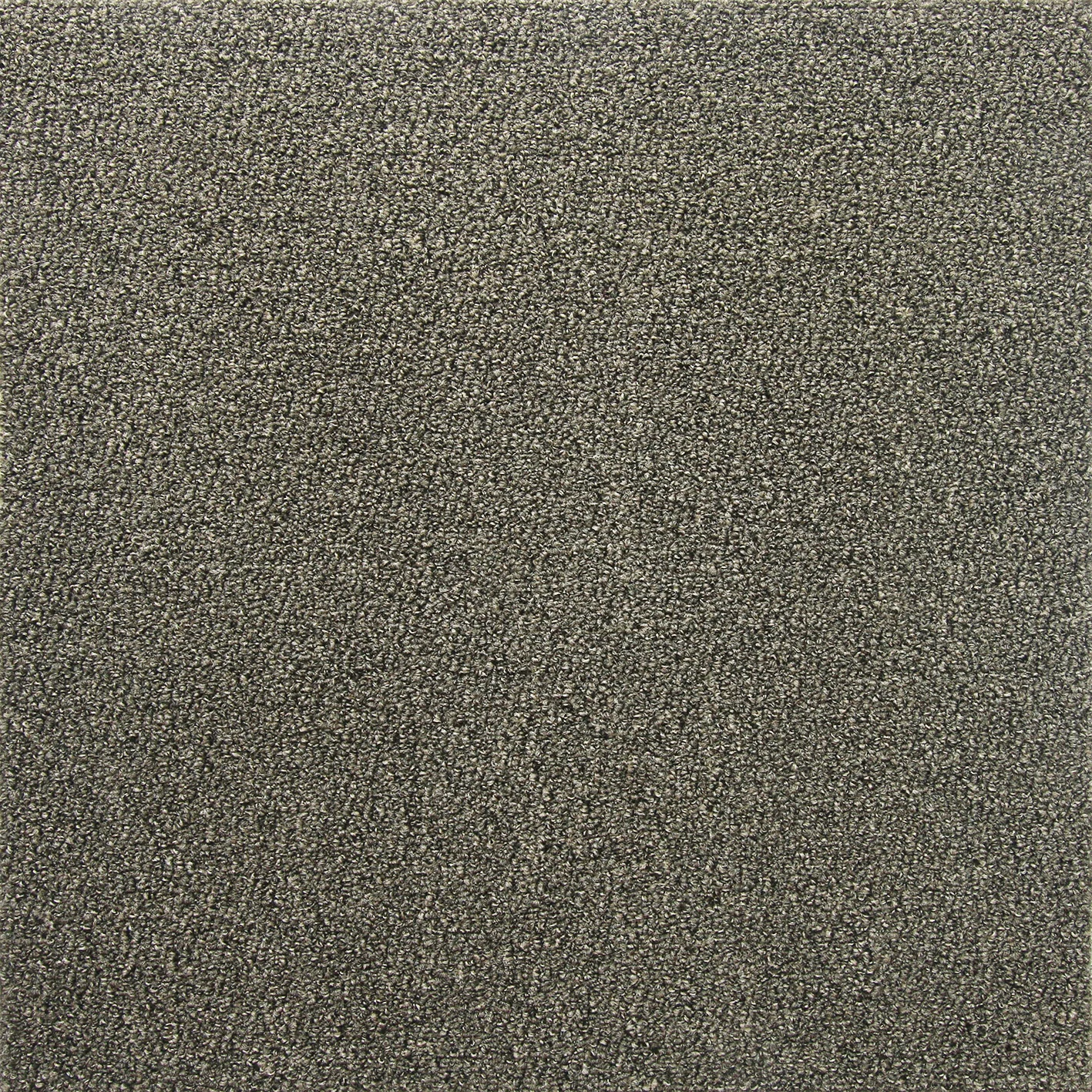 Flatlands — Carpets Inter