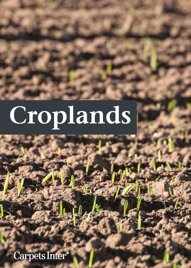 Croplands — Carpets Inter