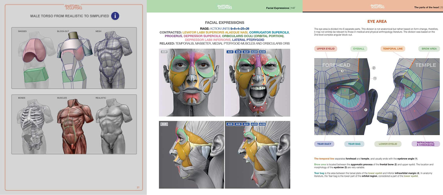 The Anatomy for Sculptors Book Series — Pixel Fondue