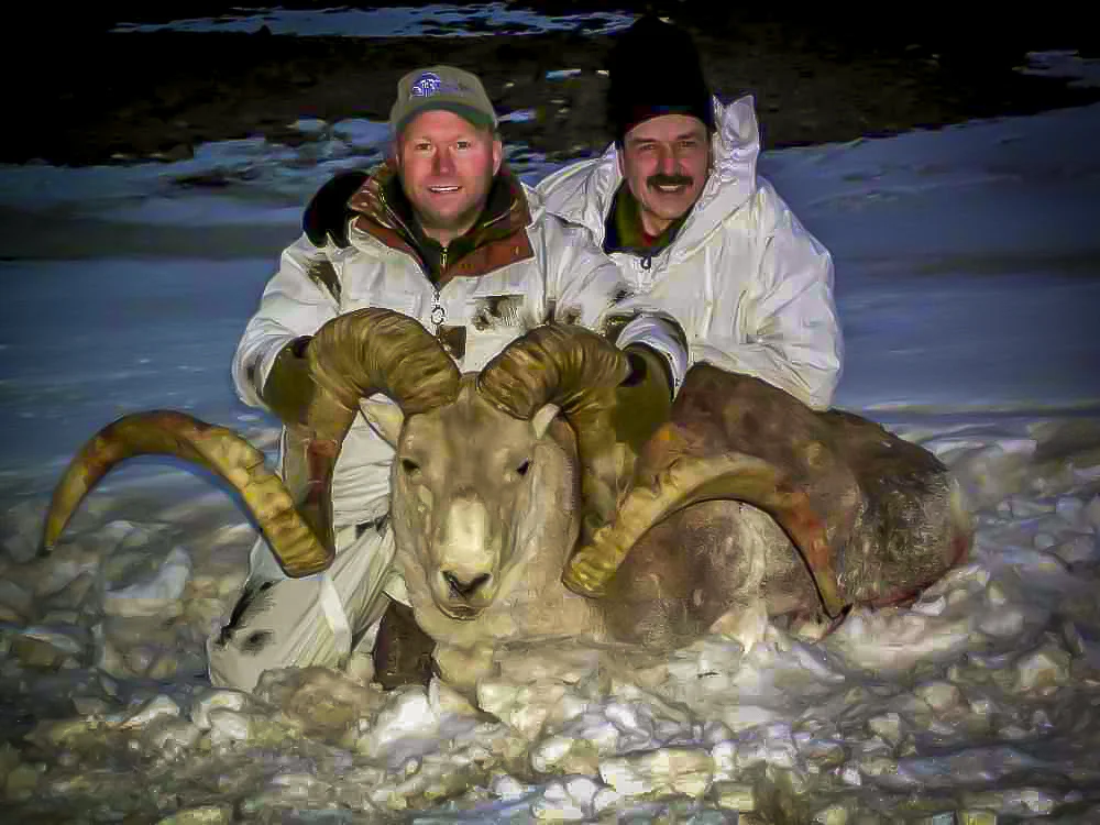 Argali — Ostbye Asian Hunts