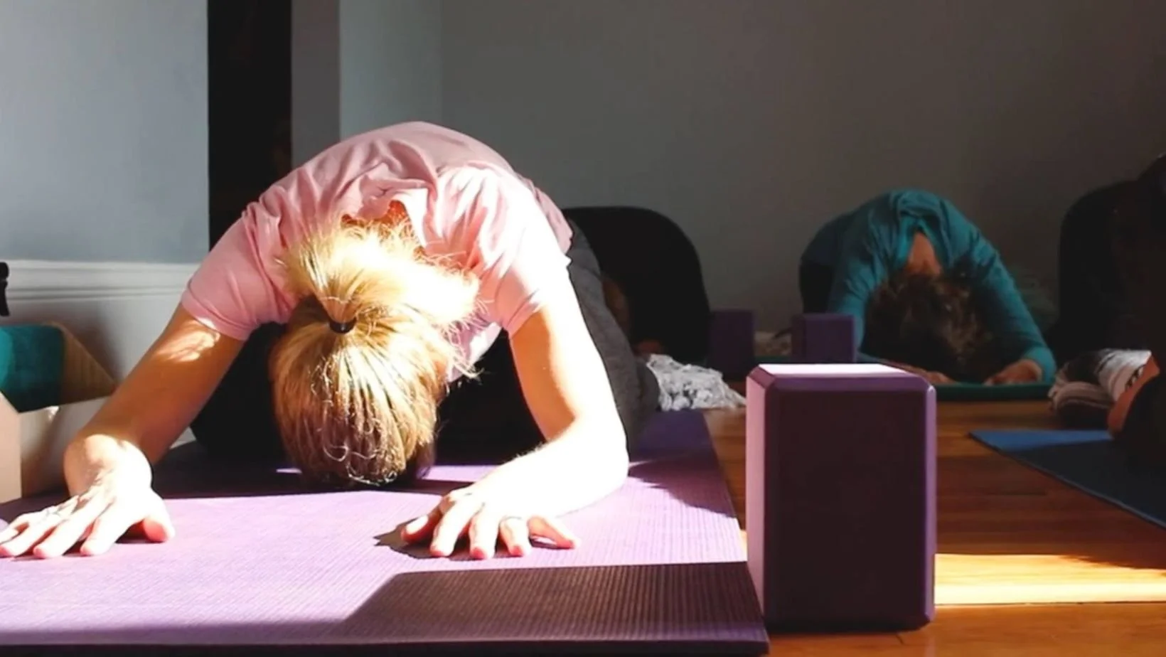 Forever Wild Yoga & Wellness