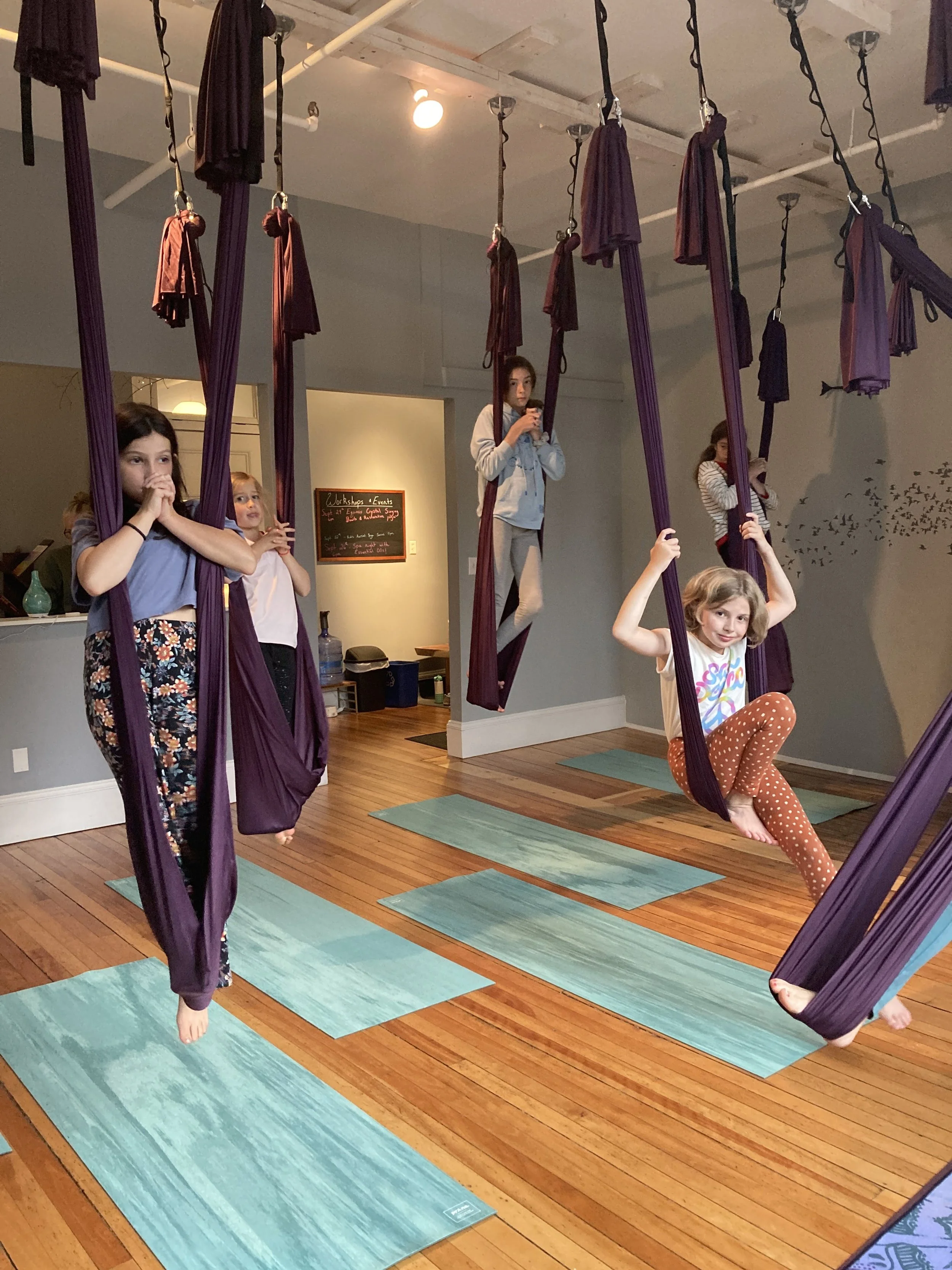 Why Aerial Yoga — Forever Wild Yoga