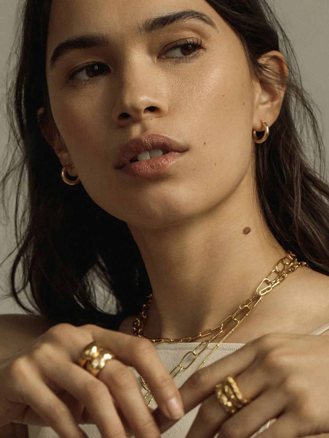 THE ODEON HOOP EARRINGS — Pamela Card Jewelry