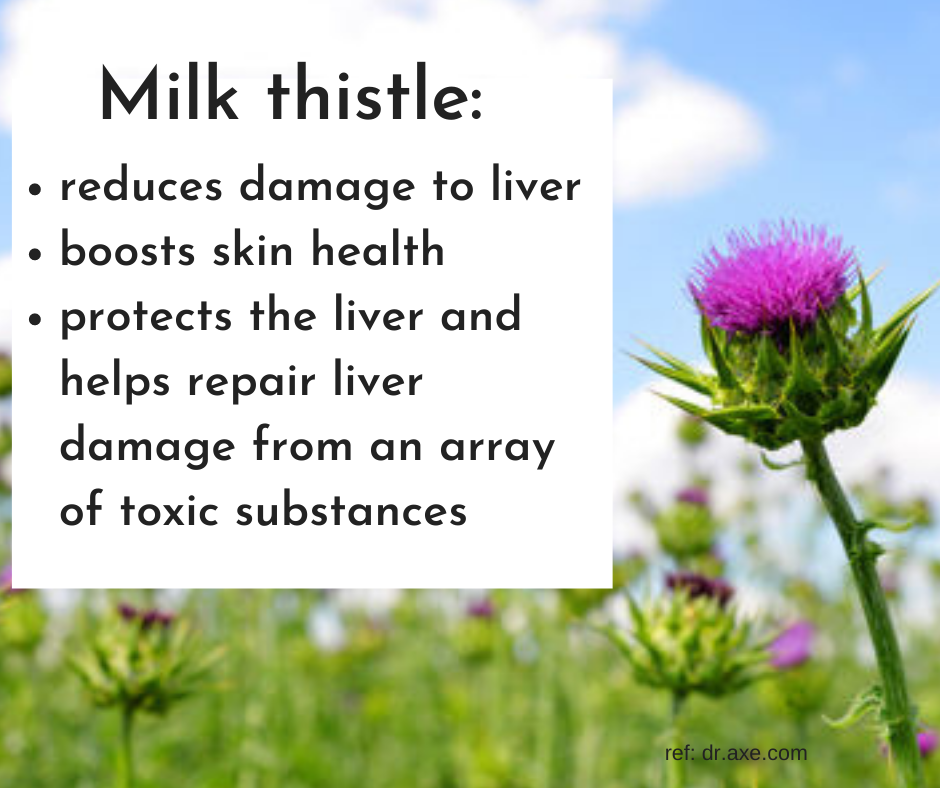 Milk Thistle Benefits