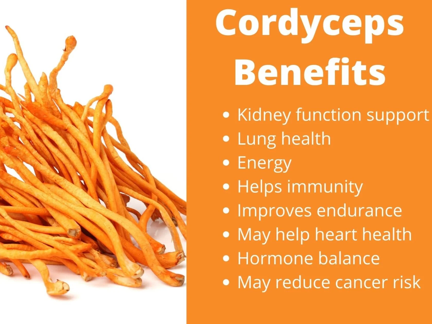 Single Herbs, Extracts, Teas, Capsules — Health Bestowing Hands