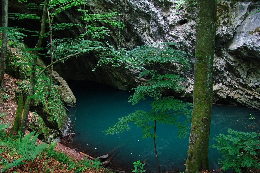 Nera — PEREN • Limited Edition Swiss Made Watches