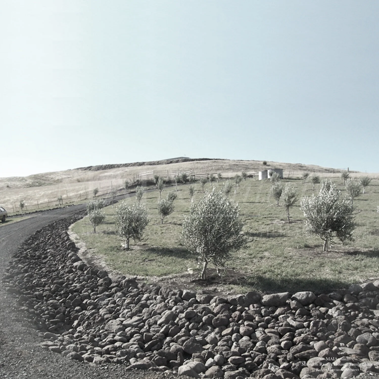 MAIArchitects | Robert Marcuccio Architect