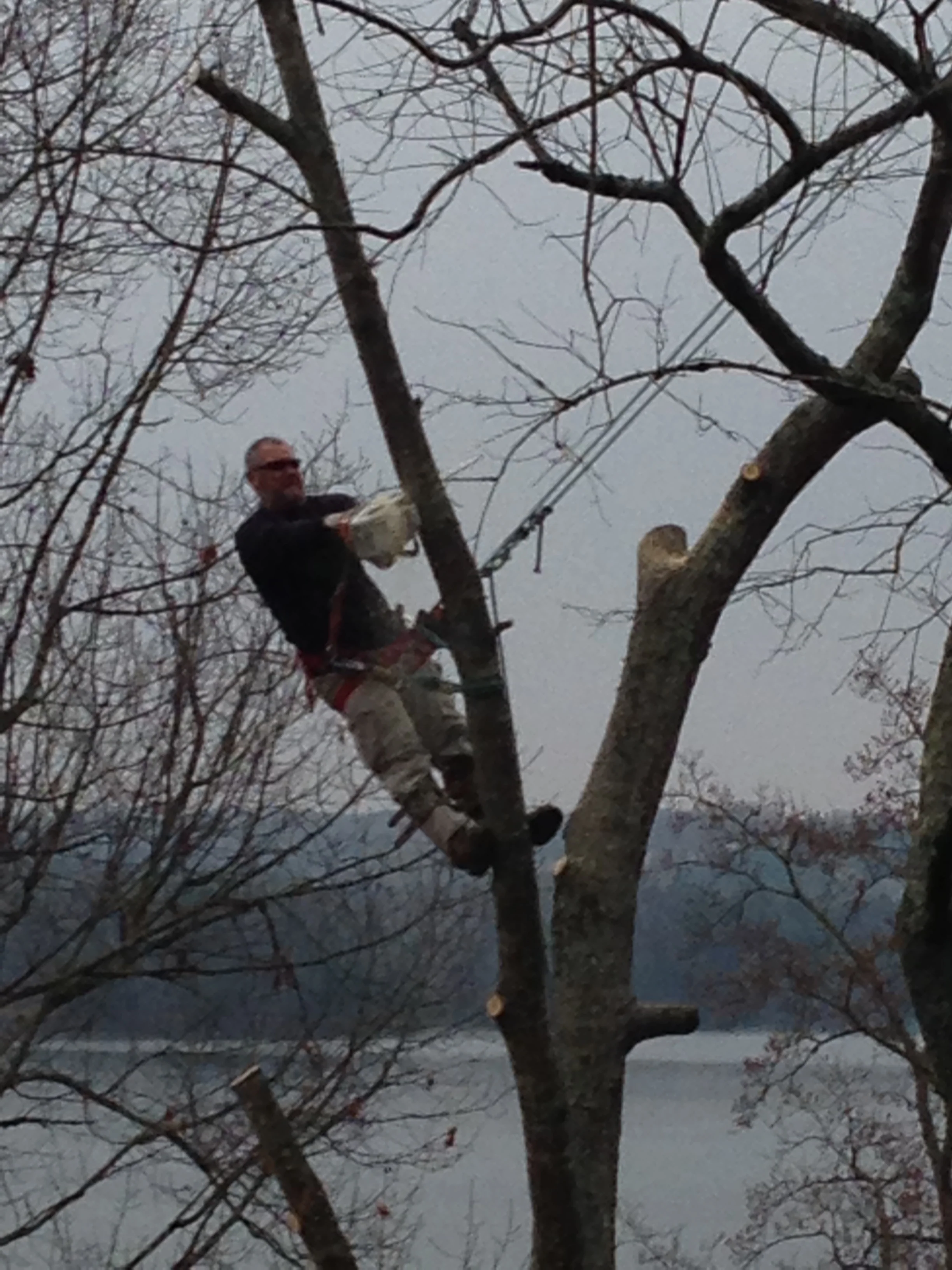 The Crew — Jones Tree Service