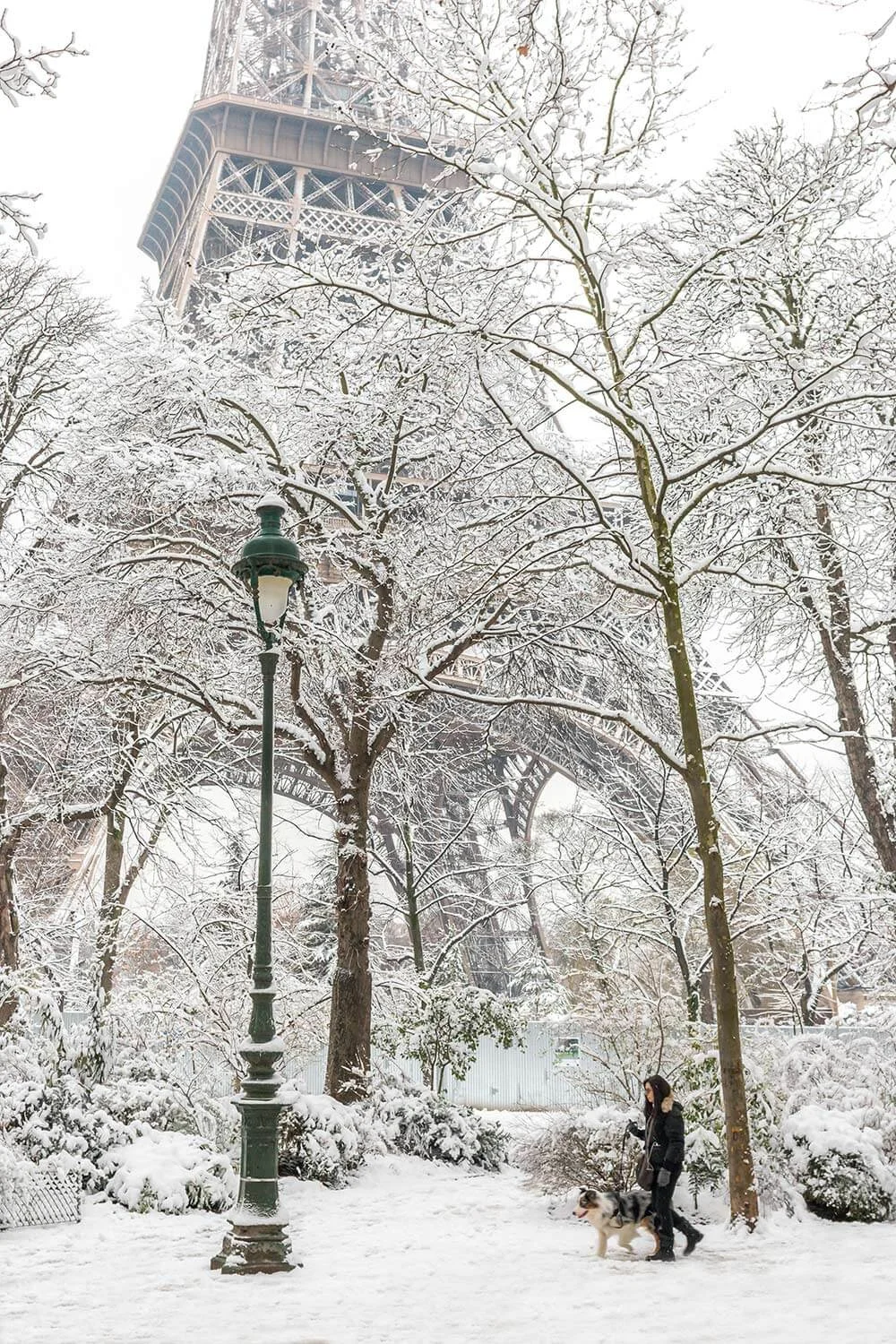 Winter in Paris Photos - Paris Photographer