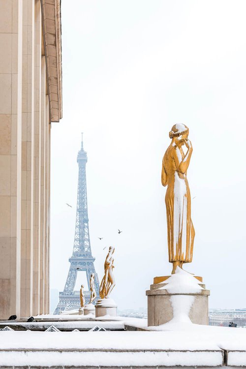 Winter in Paris Photos - Paris Photographer