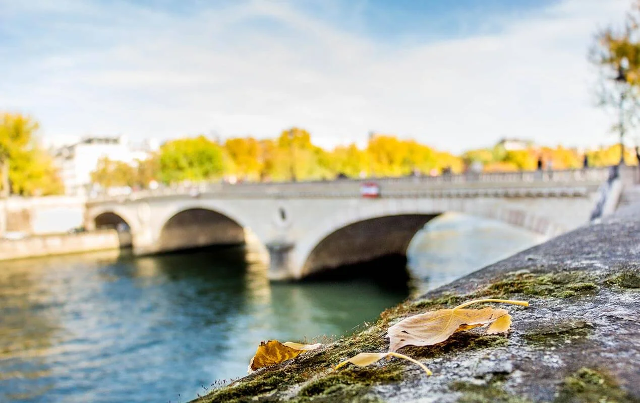 Autumn in Paris Pictures - Paris Photographer