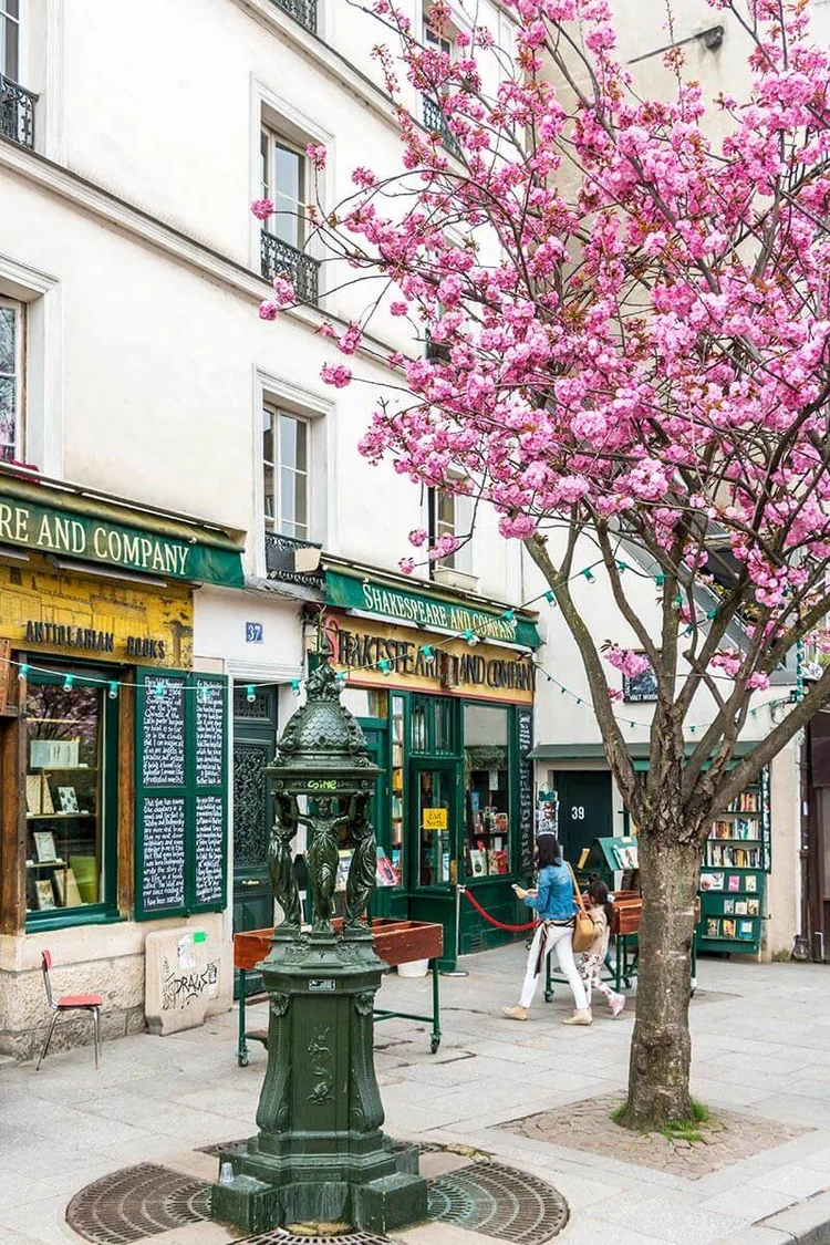 Spring in Paris Photos - Paris Photographer