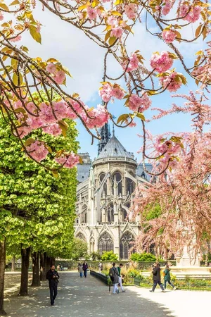 Spring in Paris Photos - Paris Photographer