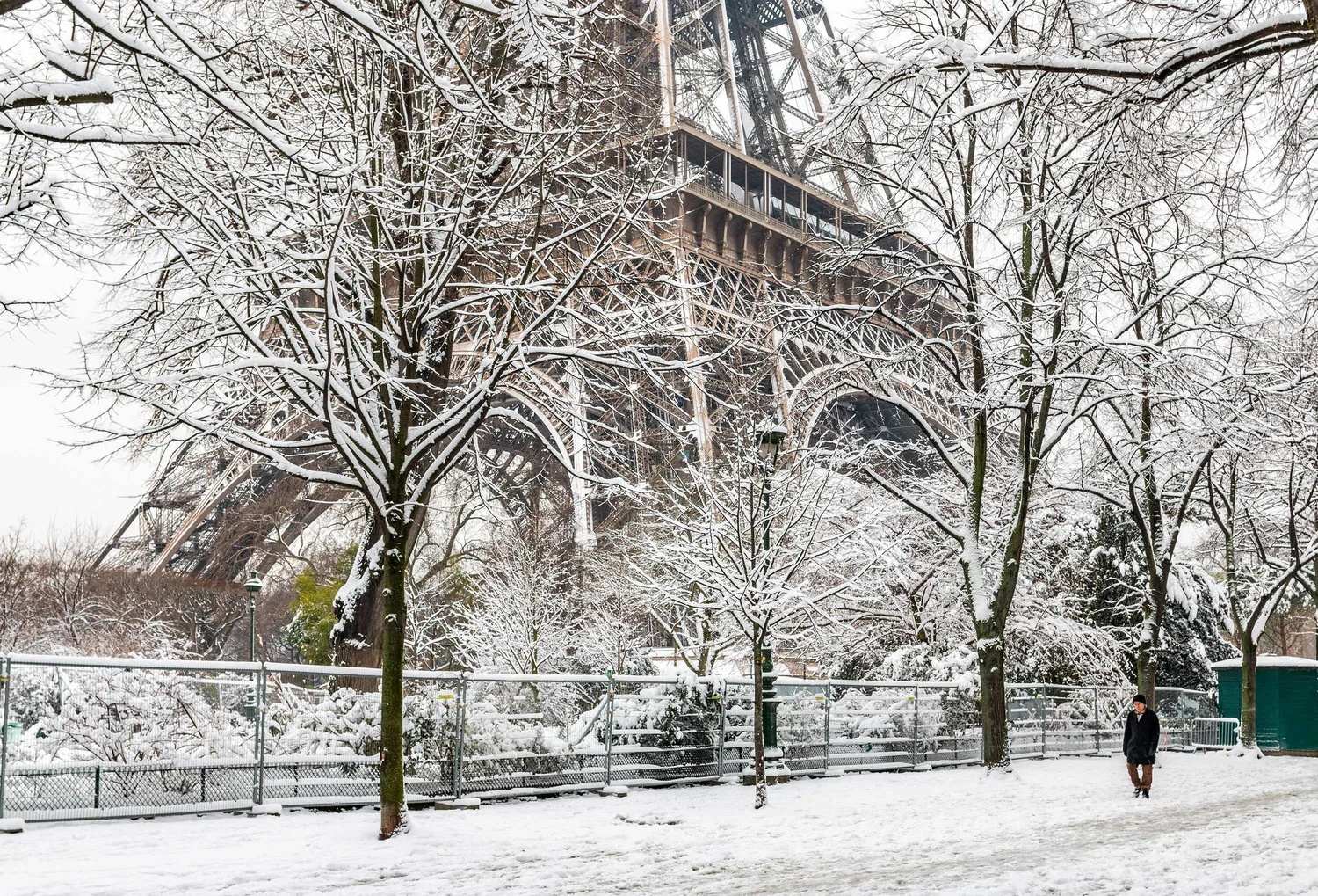 Winter in Paris Photos - Paris Photographer
