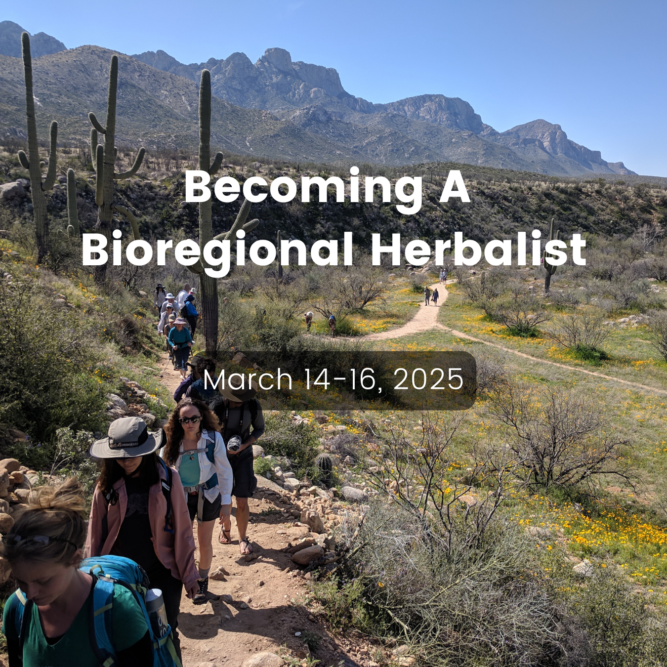 Classes & Courses — John J. Slattery Bioregional Herbalist, Forager, Author