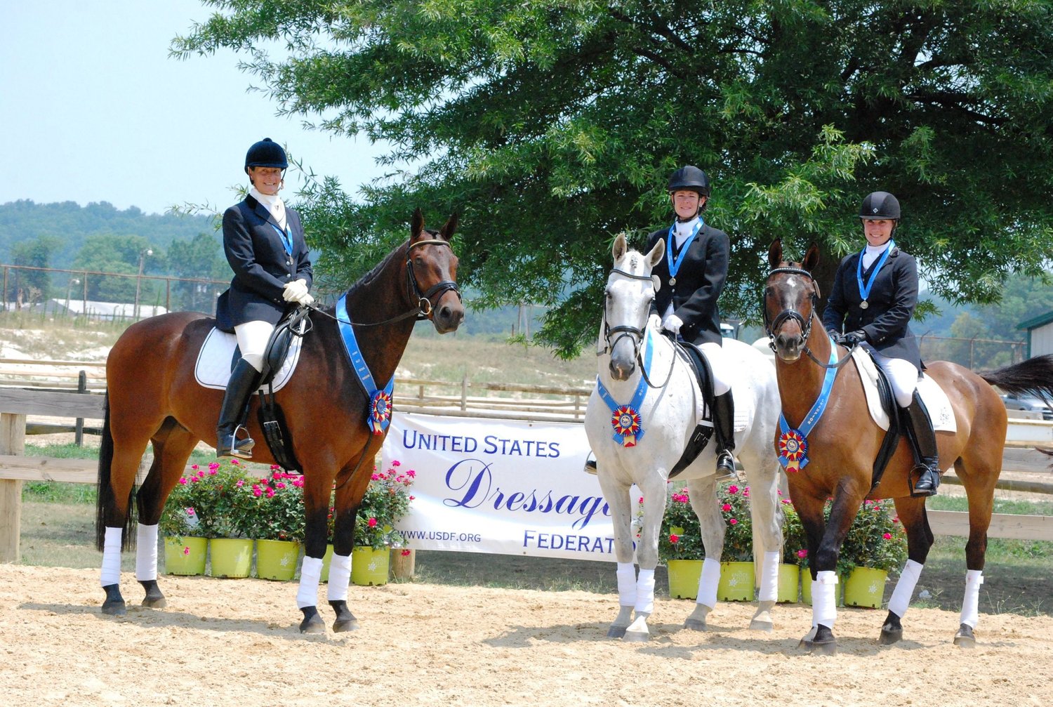 Debbie Bowman Dressage