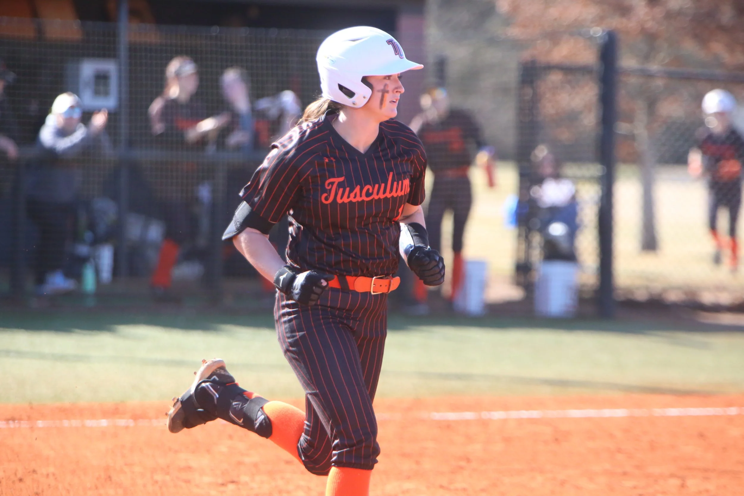 Tennessee Sports Writers Association