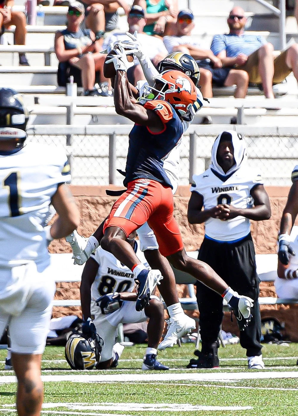 Tennessee Sports Writers Association