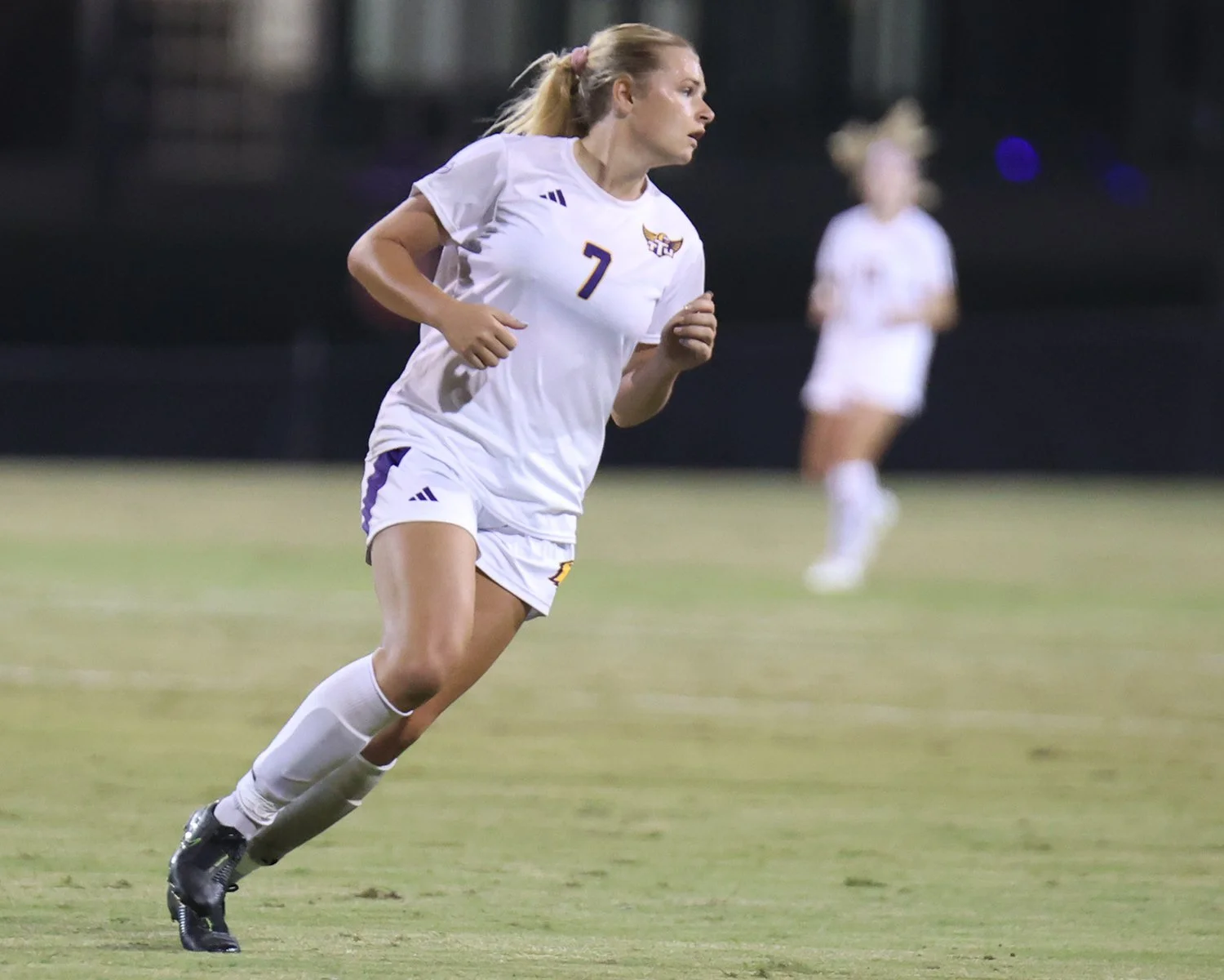 Tennessee Sports Writers Association