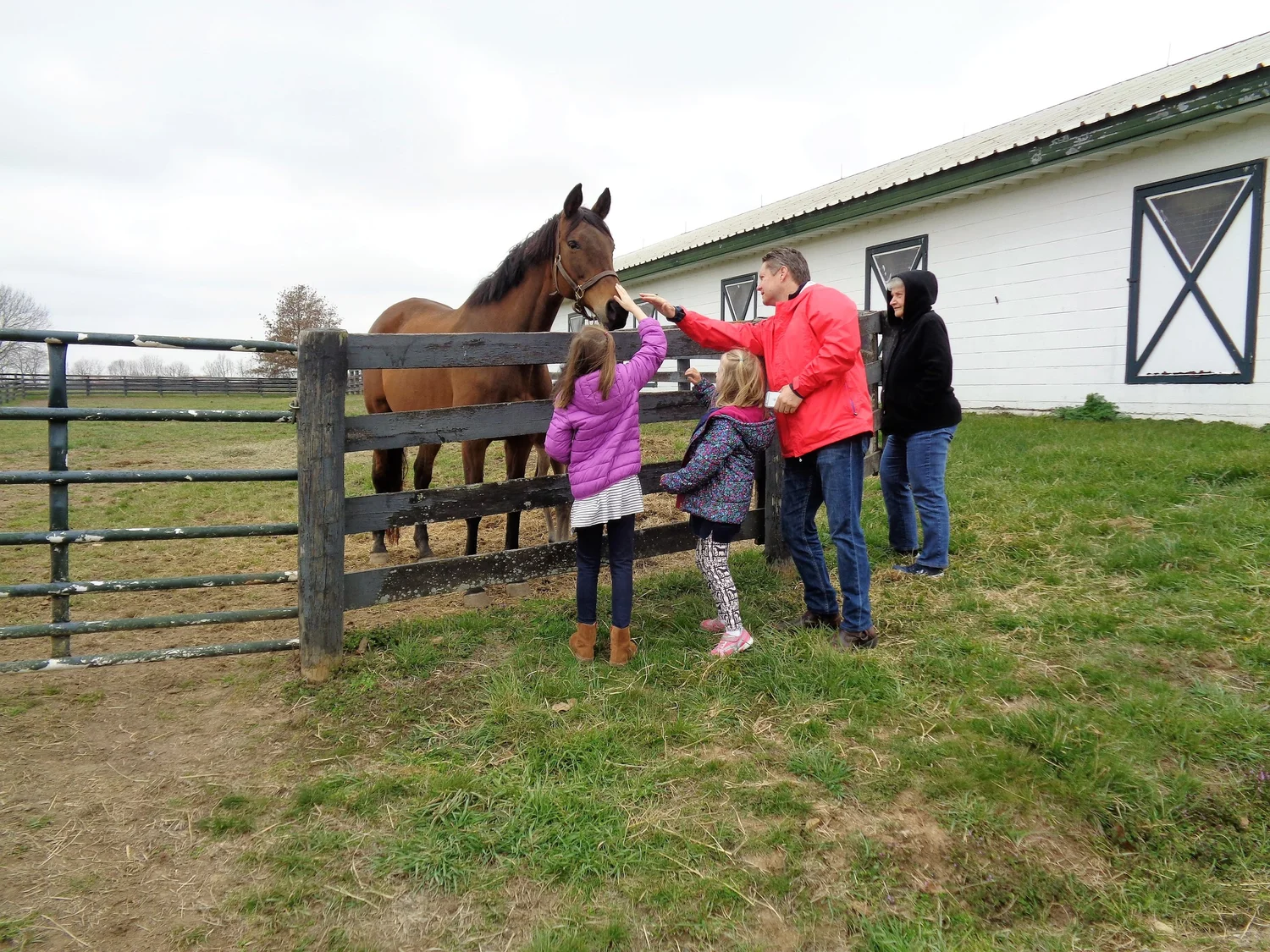 Tour Information — Horse Farm Tours, Inc