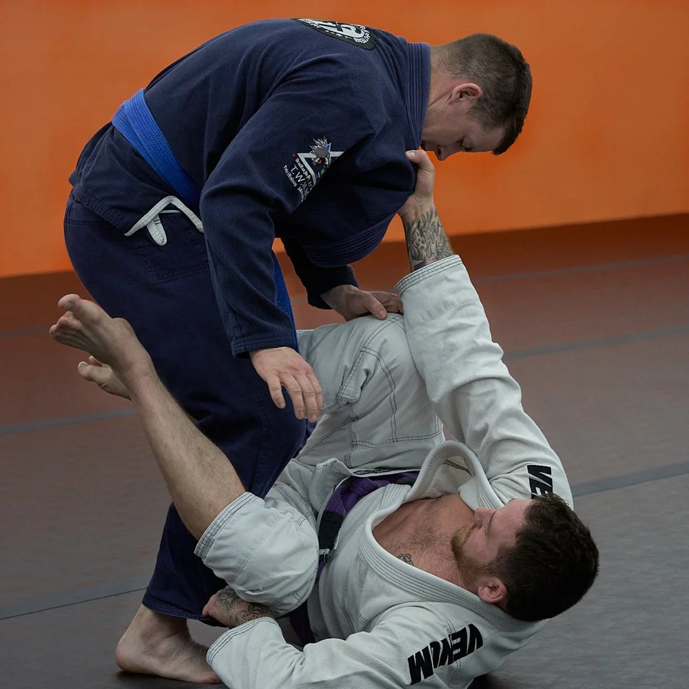 Programs — Twin Wolves MMA
