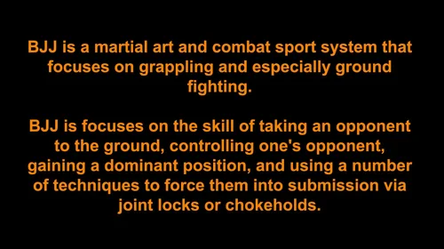 Programs — Twin Wolves MMA