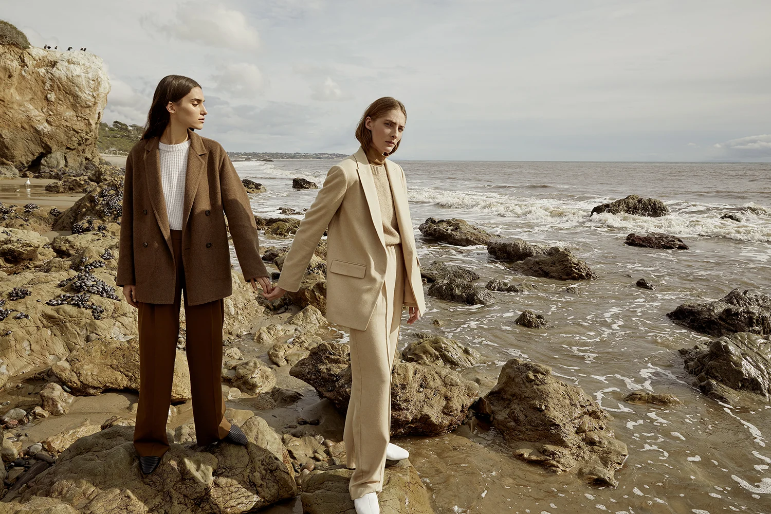 andrea sophia matarrese