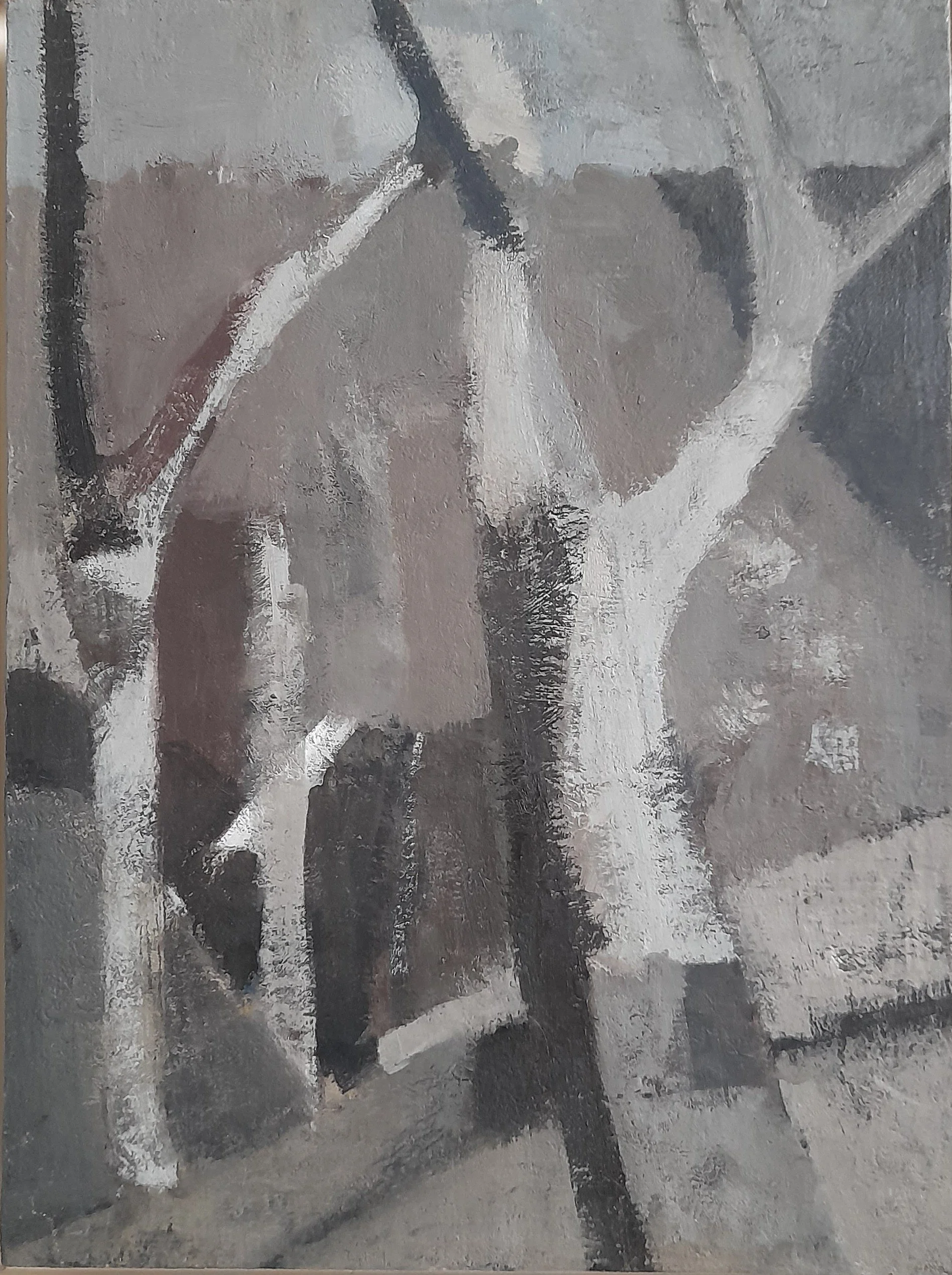 Trees — ALISON STEWART