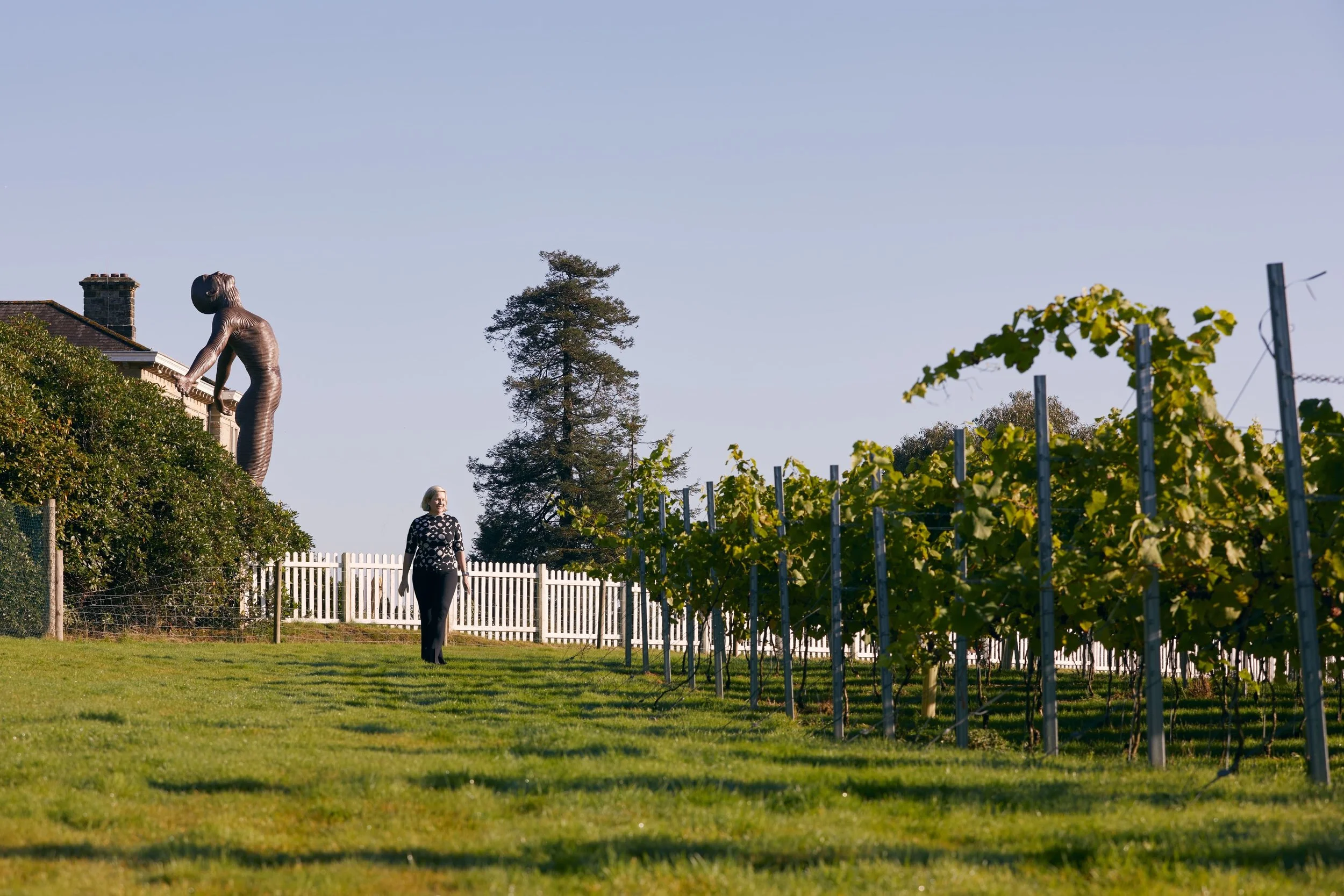 Grape Expectations Magazine | Issue 20 | Benguela Cove UK