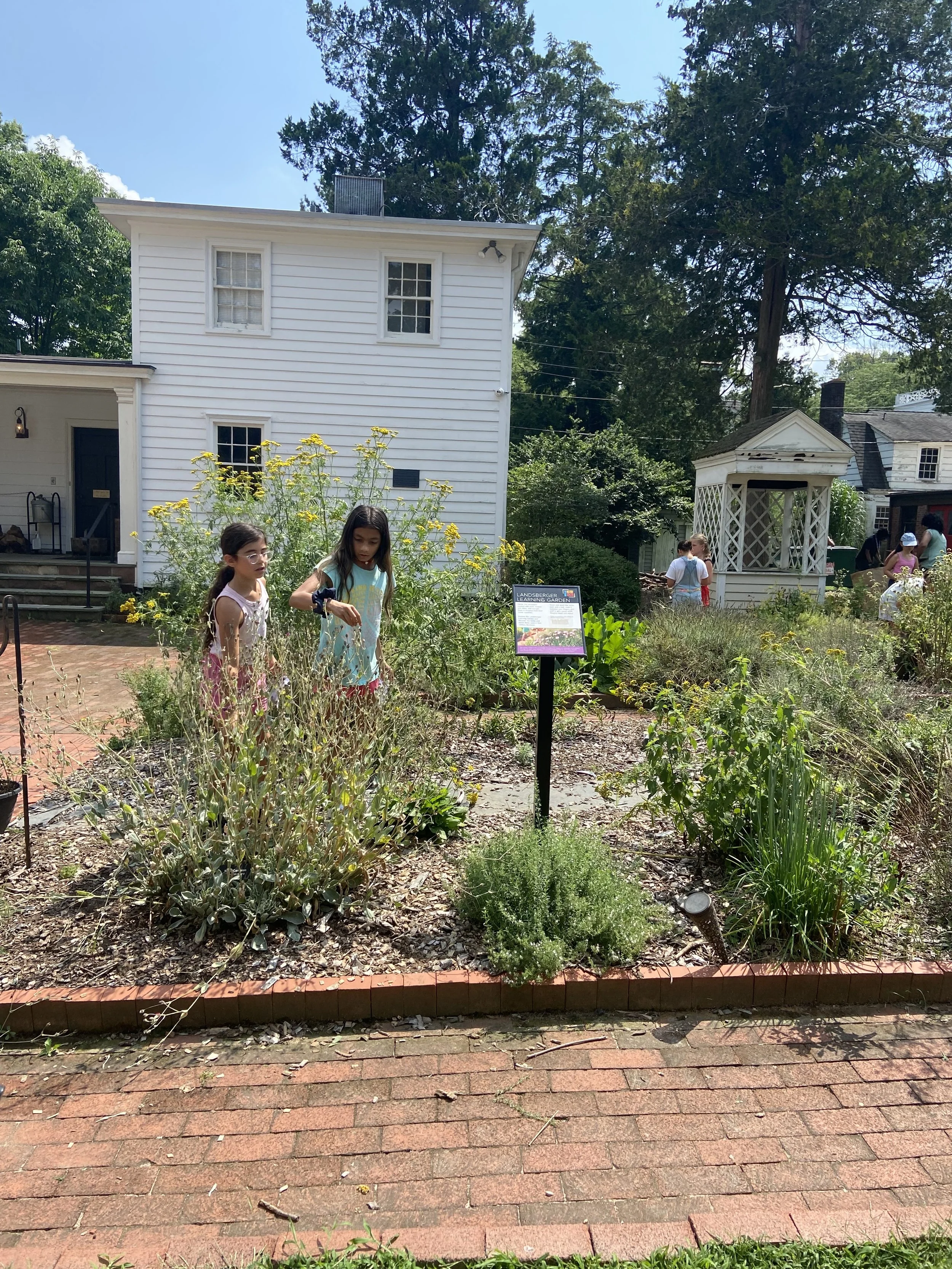 Farm Camp — Montclair History Center